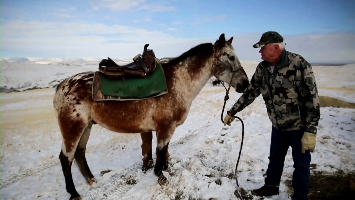 Crow Tradition Part 2 - True North Alaska (Season 1, Episode 5) - Apple TV
