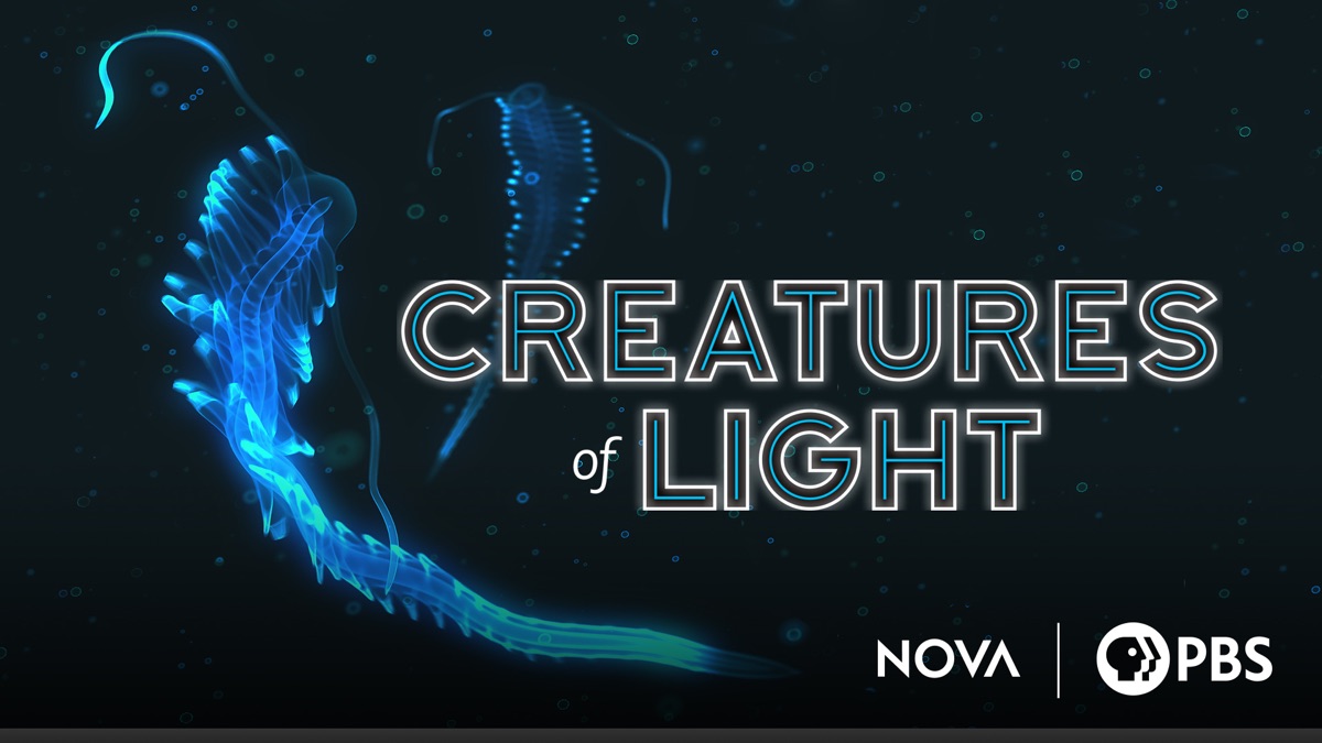 Creatures of Light - Apple TV