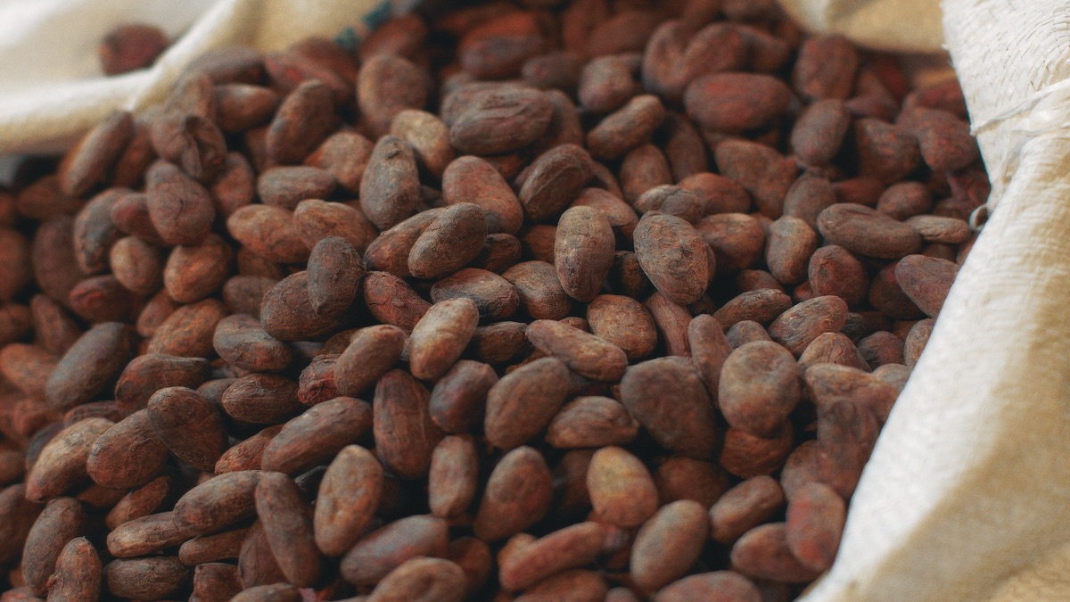 The Gift of Chocolate -- Narrated by Priyanka Chopra Jonas - A World of ...