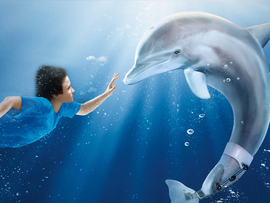 Dolphin Tale - Apple TV (PL)