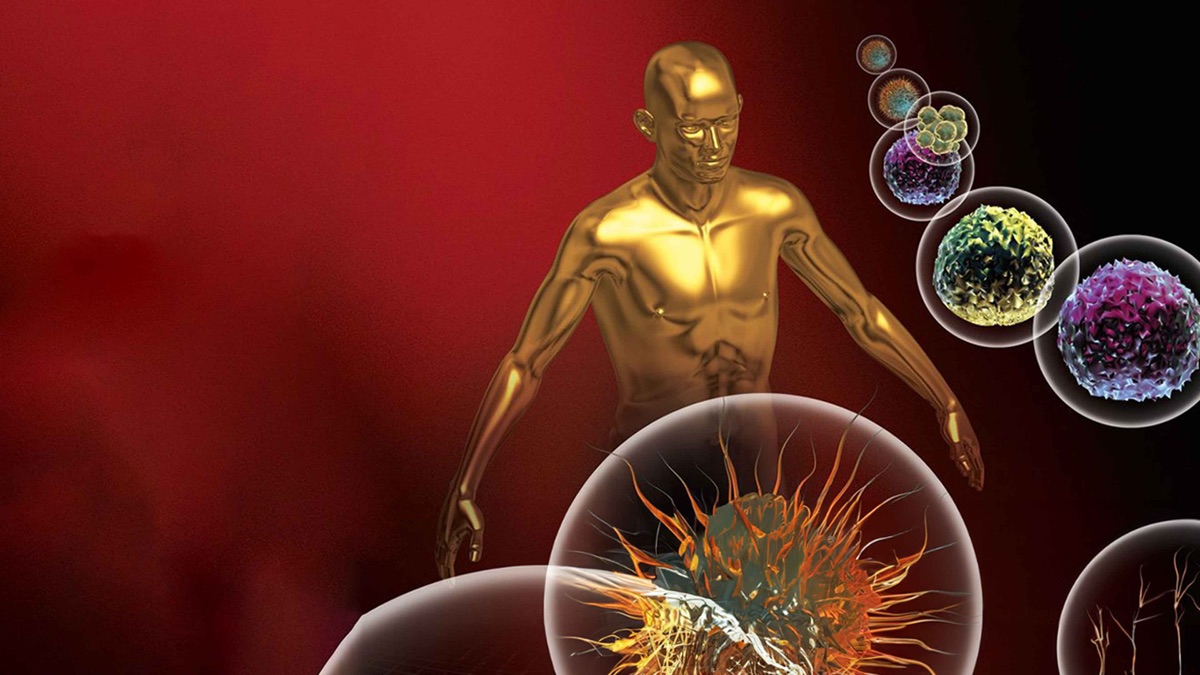 Longevity Biohacking The Ultimate Frontier - Apple TV