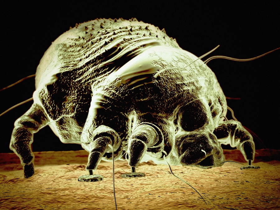 Monsters Inside Me - Apple TV