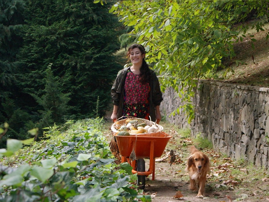 A La Serife - Apple TV (UK)