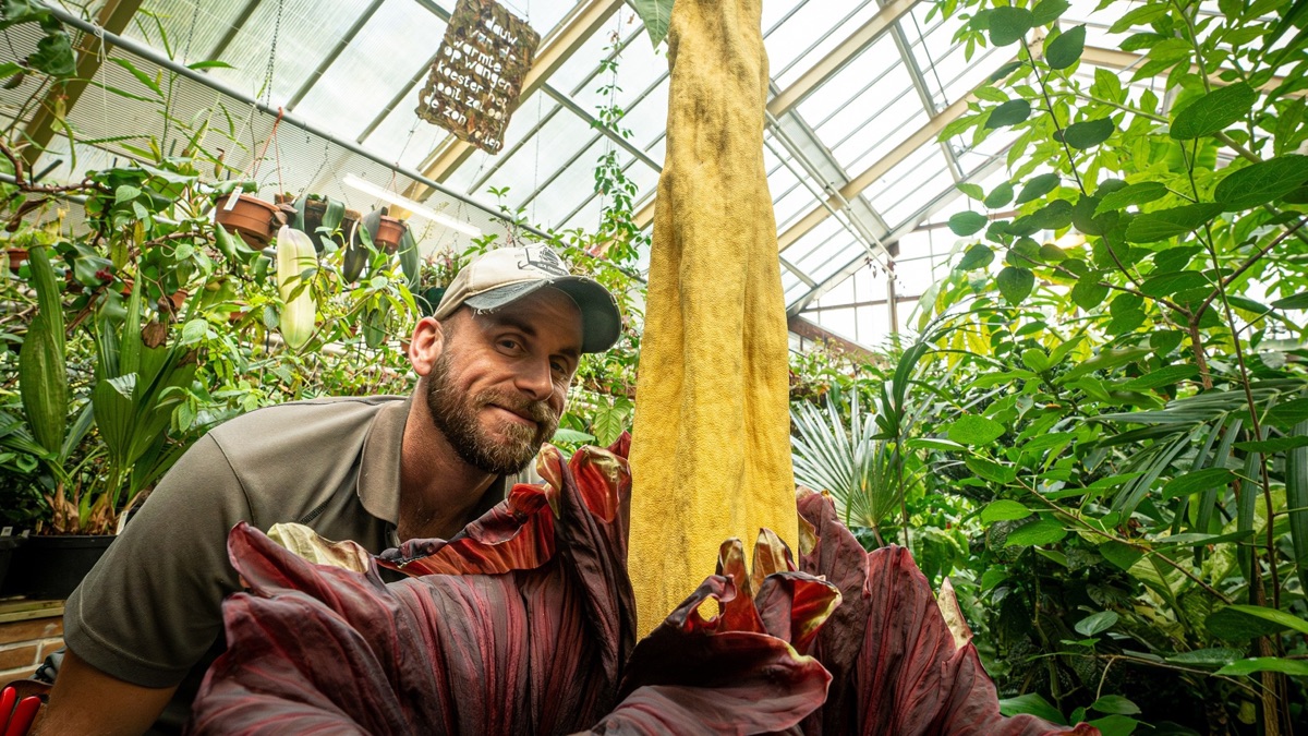 ‎Hortus Botanicas in Leiden – Europe's Greatest Gardens (Season 1 ...