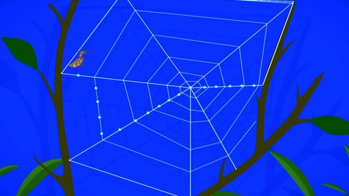 Spider Web and Watering Can - Maddie's Do You Know? (Series 3, Episode ...