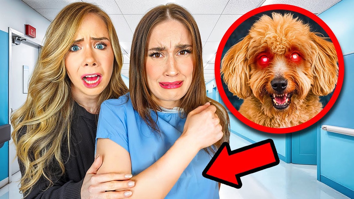 ‎Puppy Bites and Ghostly Texts! – The Besties in Spooky Sleepover ...