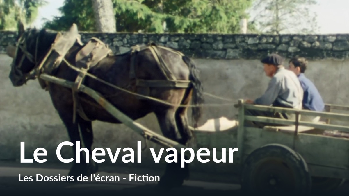 Quelle Est La Différence Entre Le Kilowatt Et Le Cheval-Vapeur ? – EPEOFG