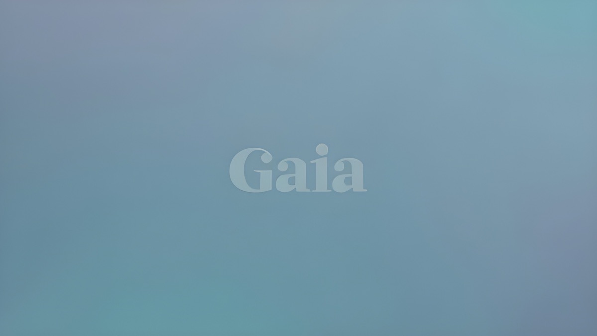 The FIRM Core Solutions - Apple TV