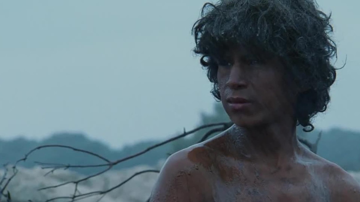 The Bible Collection: Genesis - Apple TV