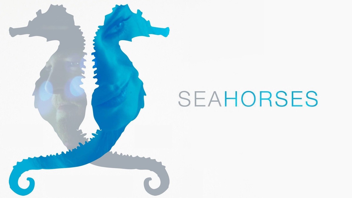‎Seahorses - Apple TV