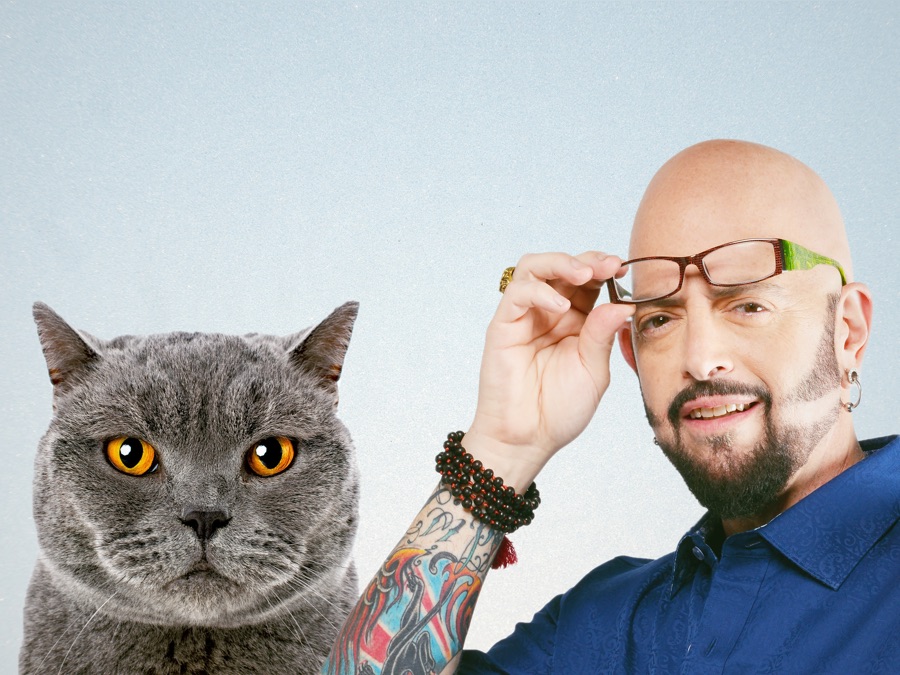 My Cat From Hell - Apple TV