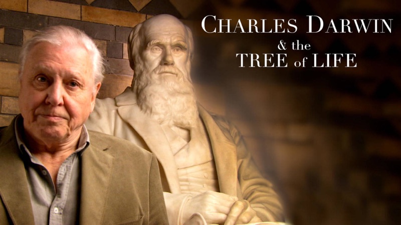 Charles Darwin and the Tree of Life | Apple TV