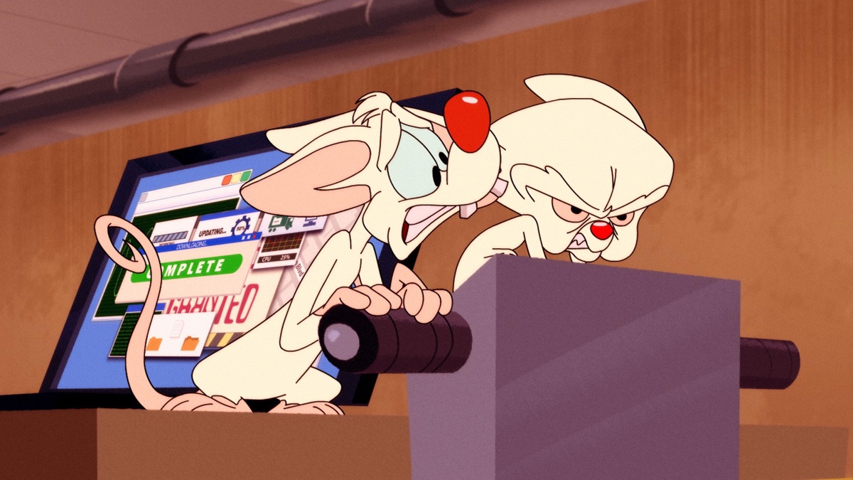 Good Warner Hunting; No Brainer; Ralph Cam – Animaniacs (Season 1 ...