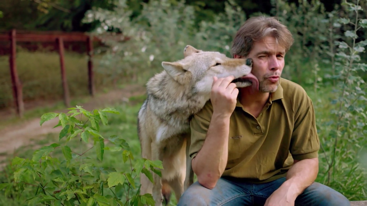 Episode 1 - Wandering Wolves (Series 1, Episode 1) - Apple TV (UK)