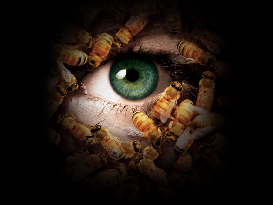 Candyman 3: Day of the Dead - Apple TV