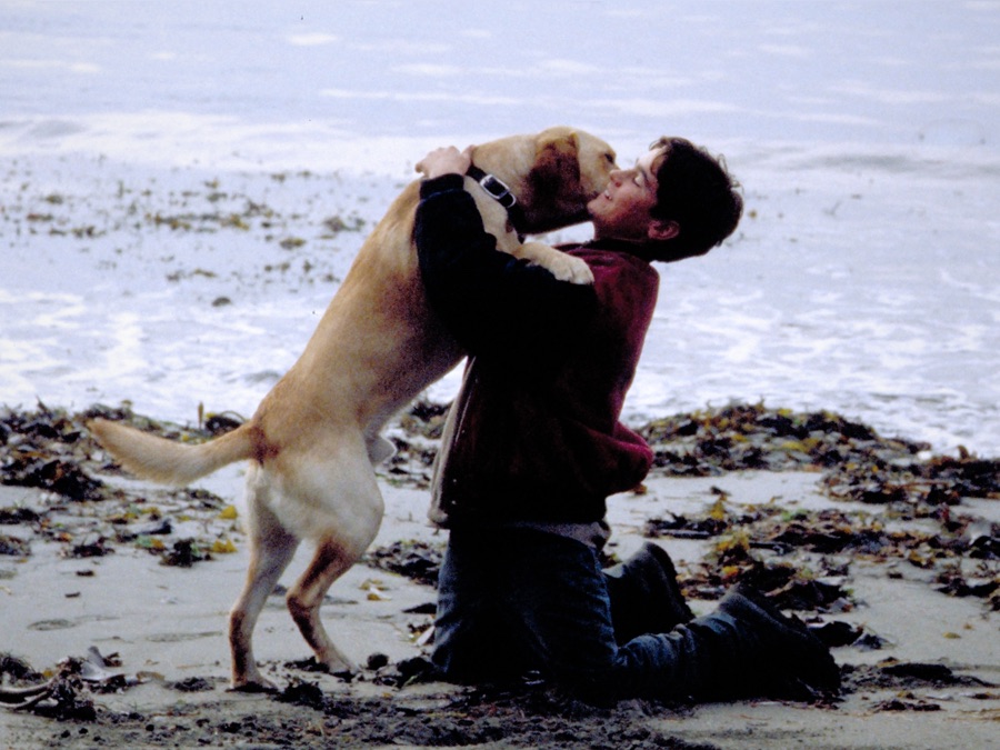 Mi fiel amigo: Una aventura inolvidable | Apple TV