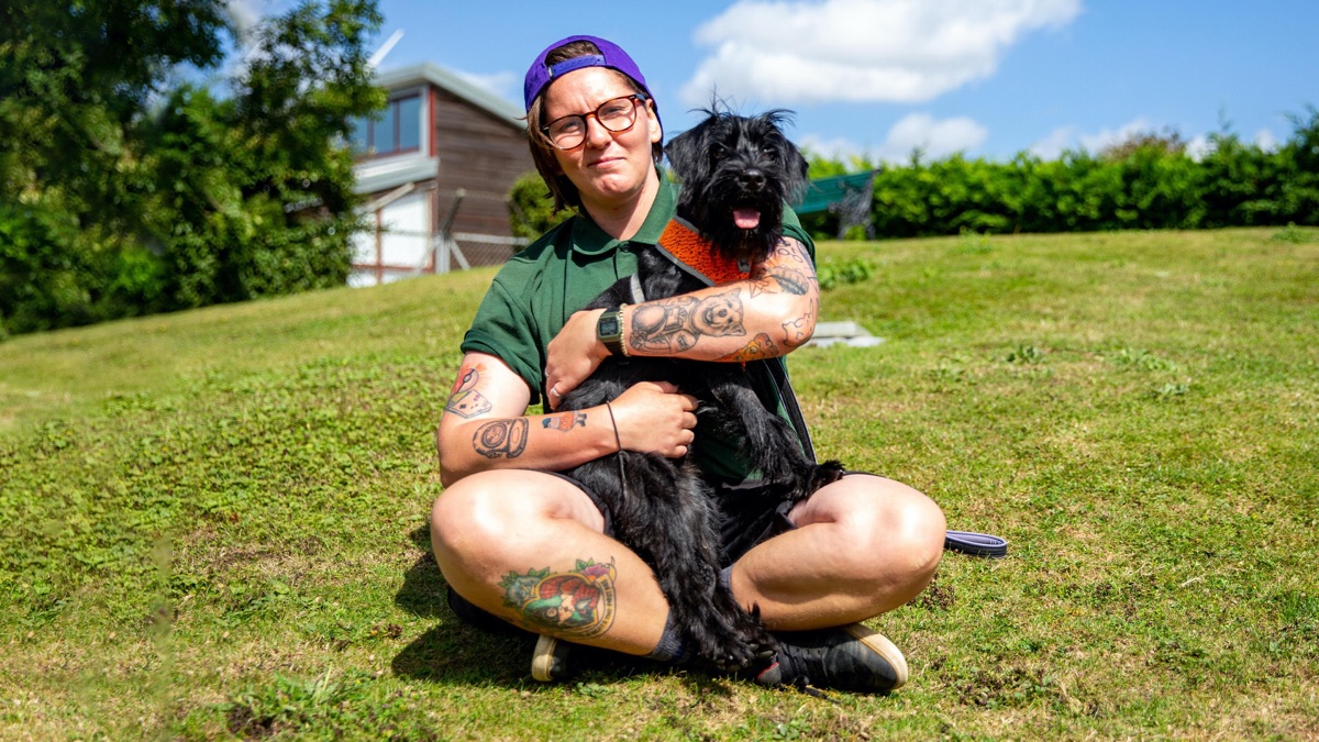 Bertie, Trinity, Peppi und Tink - Dog House - Hundevermittlung mit Herz ...