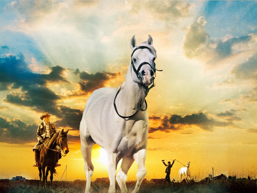 Riding Tornado - Apple TV (AU)