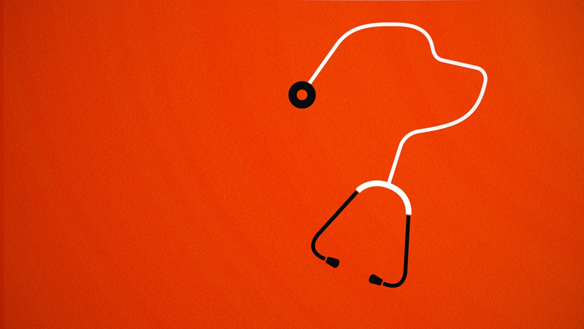 The Dog Doc - Apple TV