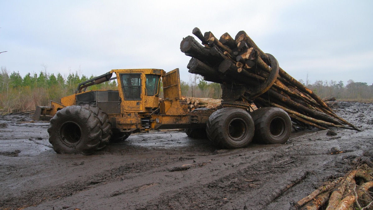 Swamp Logging - Extreme Loggers (Series 1, Episode 1) - Apple TV (UK)