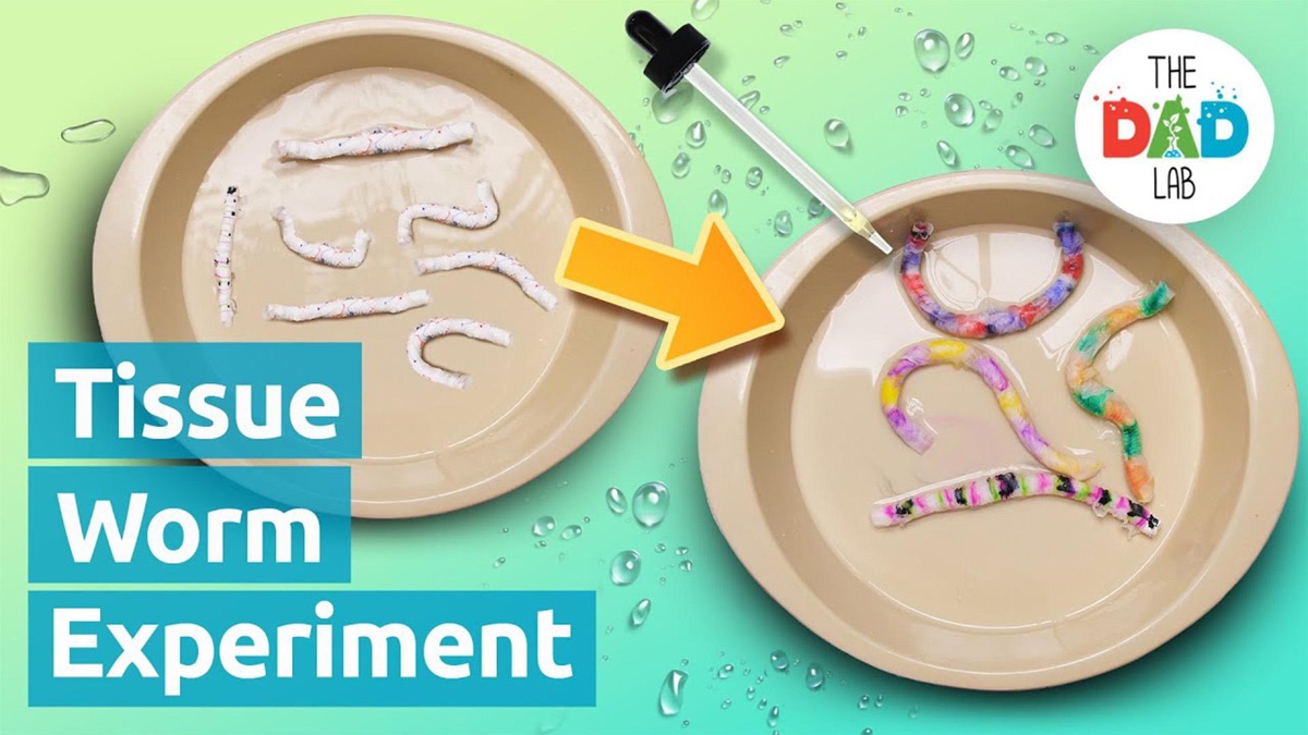Cool Tissue Wiggly Worm Science Experiment - TheDadLab (Season 1 ...