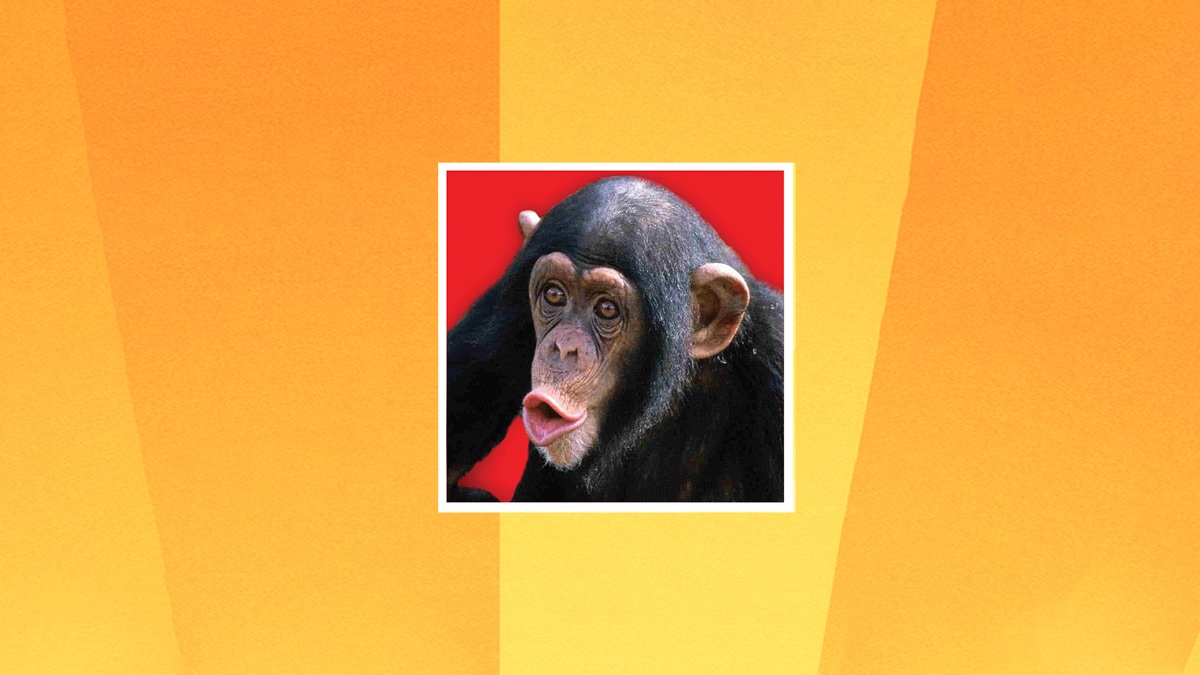 Monkey Business - Apple TV