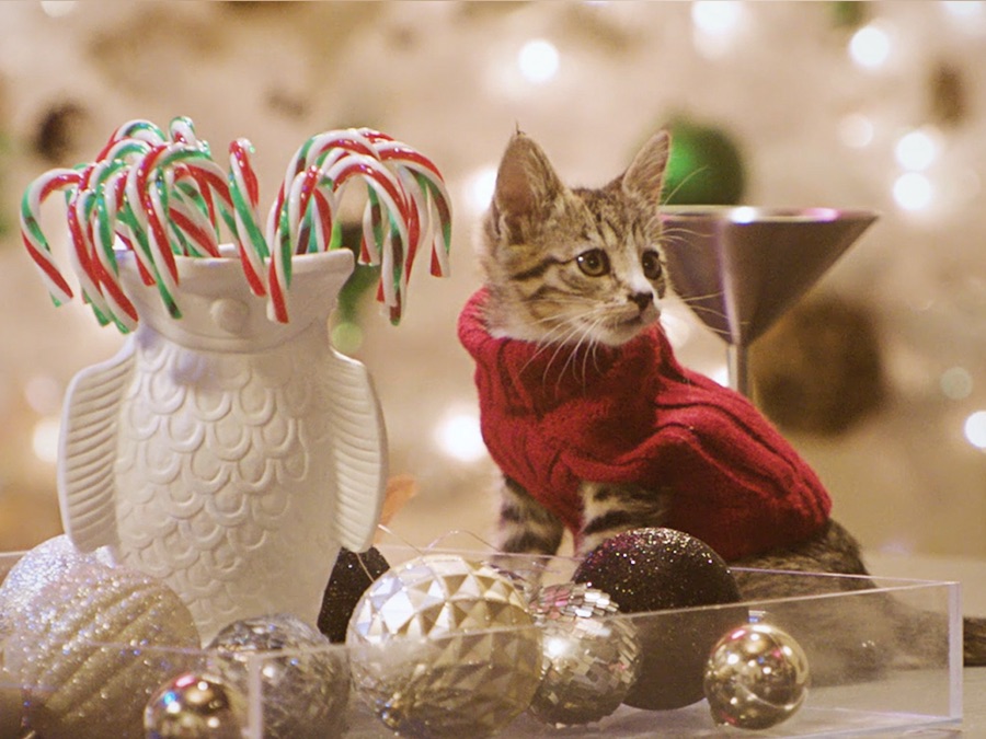 A Very Kitty Cocktail Party - Apple TV