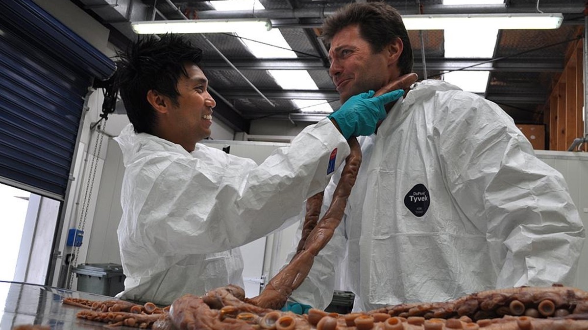 Beast Legends - Apple TV