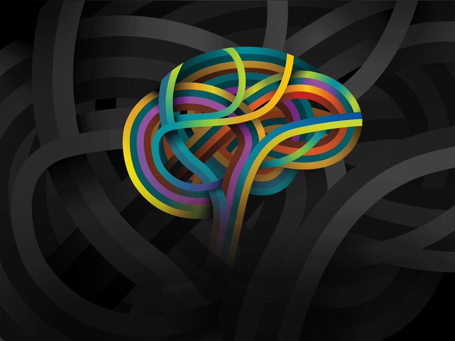 Cognitive Behavioral Therapy: Techniques for Retraining Your Brain ...