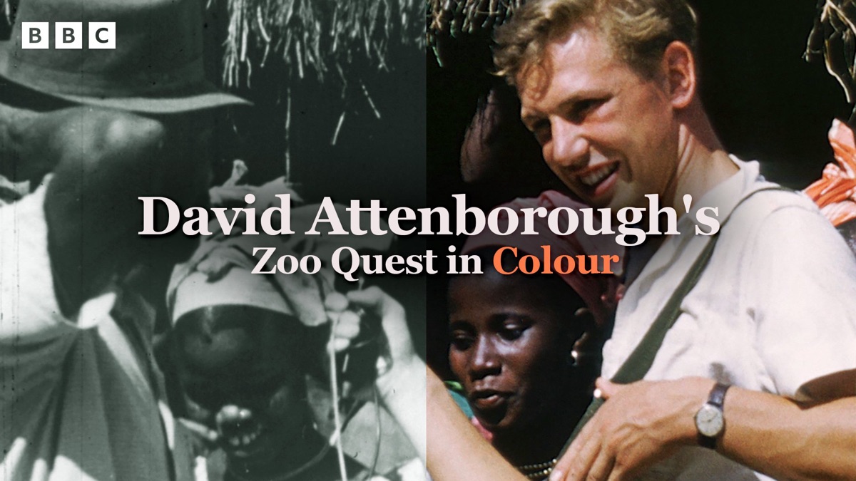 ‎Zoo Quest in Colour - Apple TV