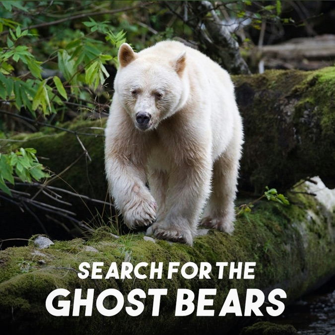 Search for the Ghost Bears - Apple TV