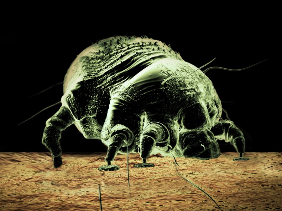 Monsters Inside Me - Apple TV (CA)