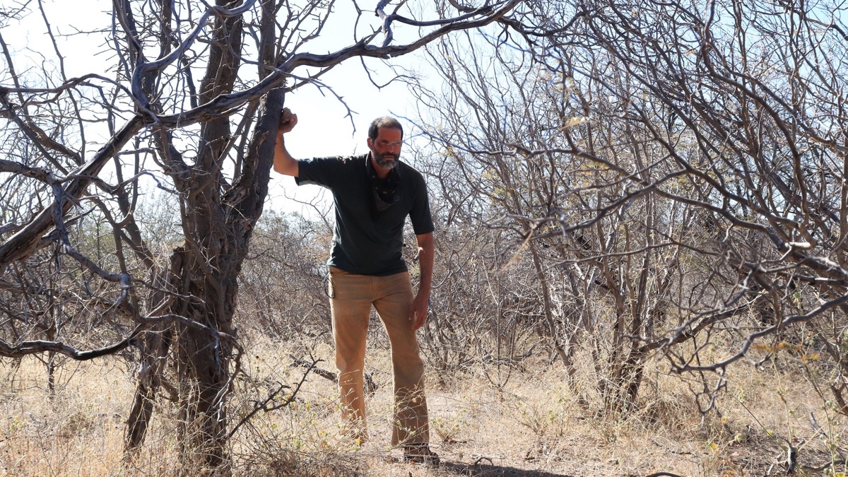 Gene Z - Apple TV (MX)