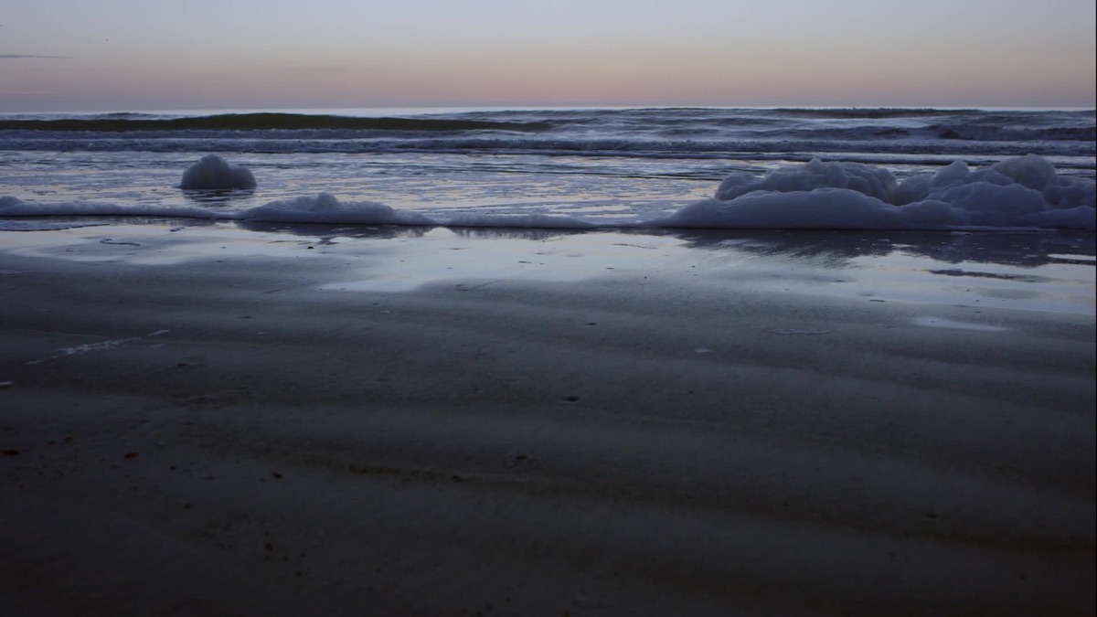 Cumberland Island - Big Picture Earth (Series 1, Episode 9) - Apple TV (NO)