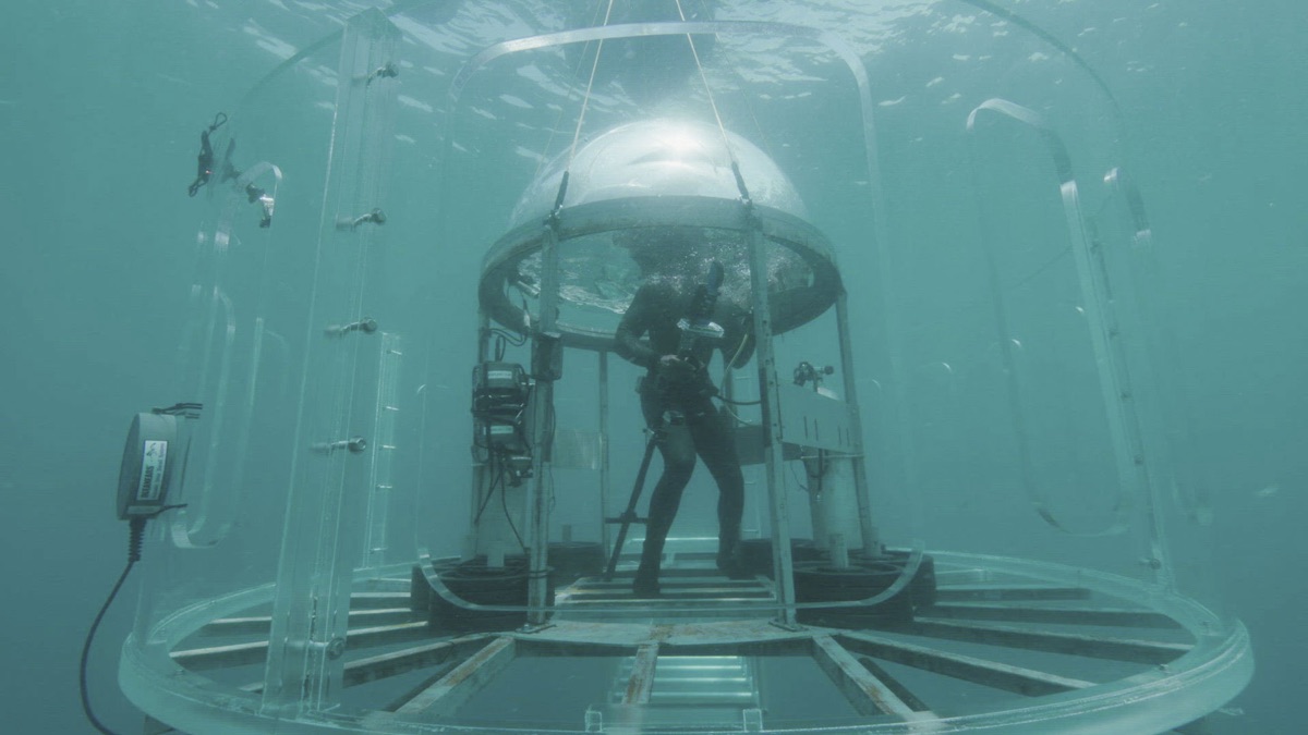 ‎Mission Shark Dome - Mission Shark Dome (Series 1, Episode 1) - Apple ...