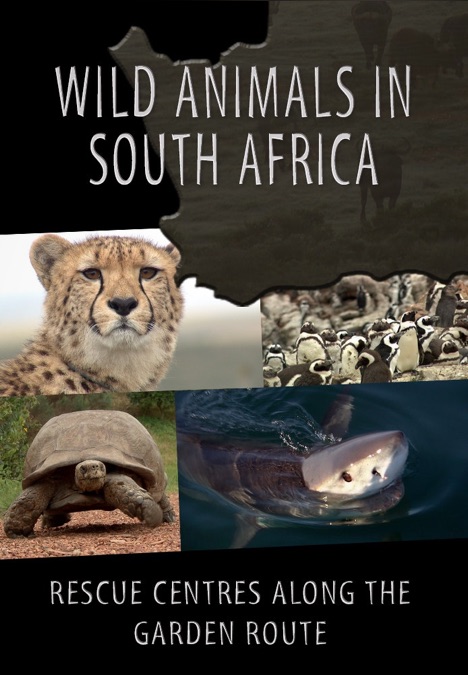 Wild Animals on the South African Garden Route | Apple TV (UK)