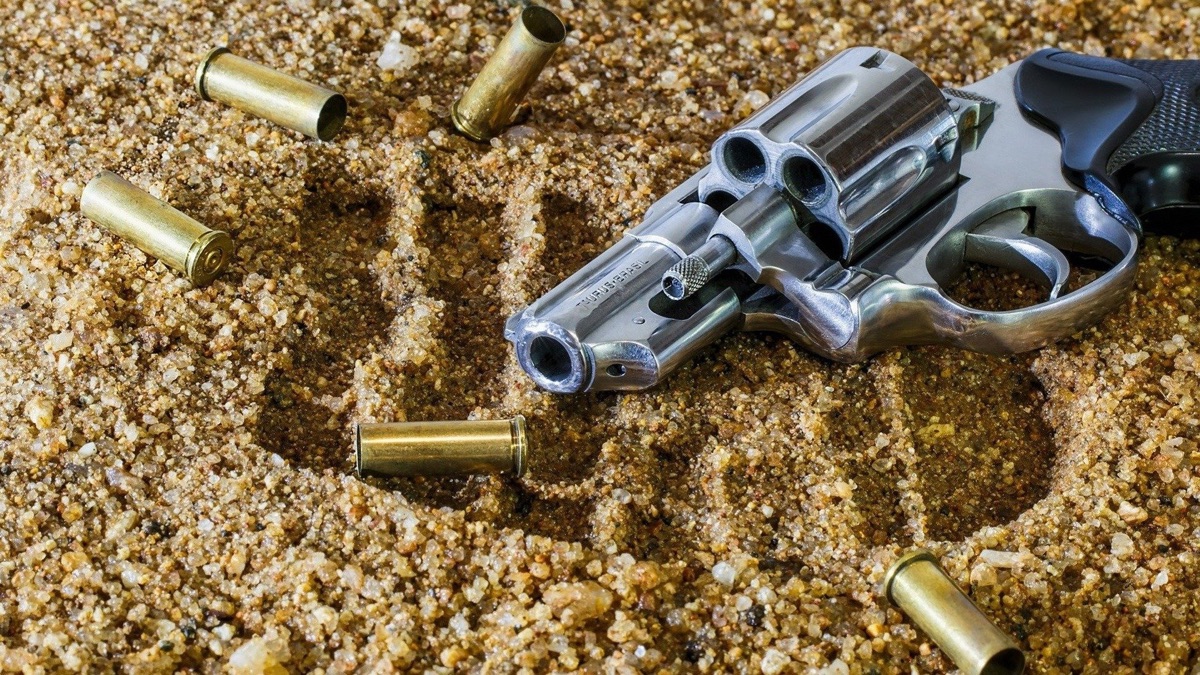 American Guns: A History of US Firearms - Apple TV