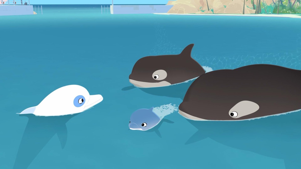 ‎Papa Zoom - Zoom the White Dolphin (Series 3, Episode 41) - Apple TV (DE)