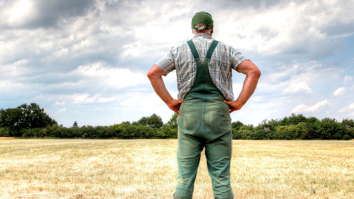 Ploughing Tilling Fighting: - Apple TV (UK)