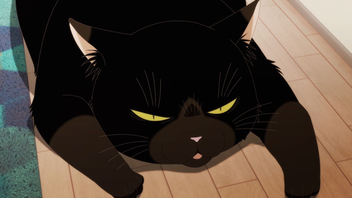 Episode 11 - The Masterful Cat Is Depressed Again Today (Series 1 ...