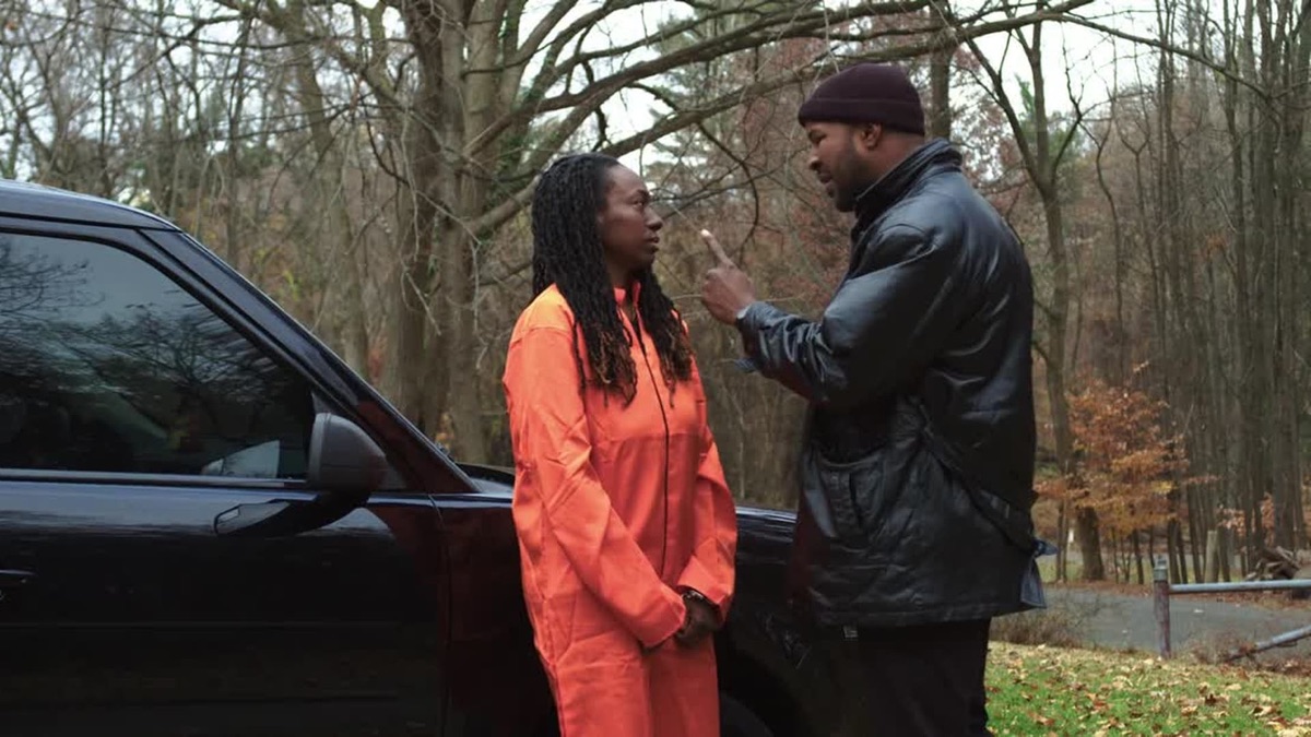 The Witness - Apple TV