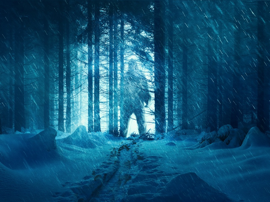 Caso asombroso: la masacre del yeti ruso - Apple TV (MX)