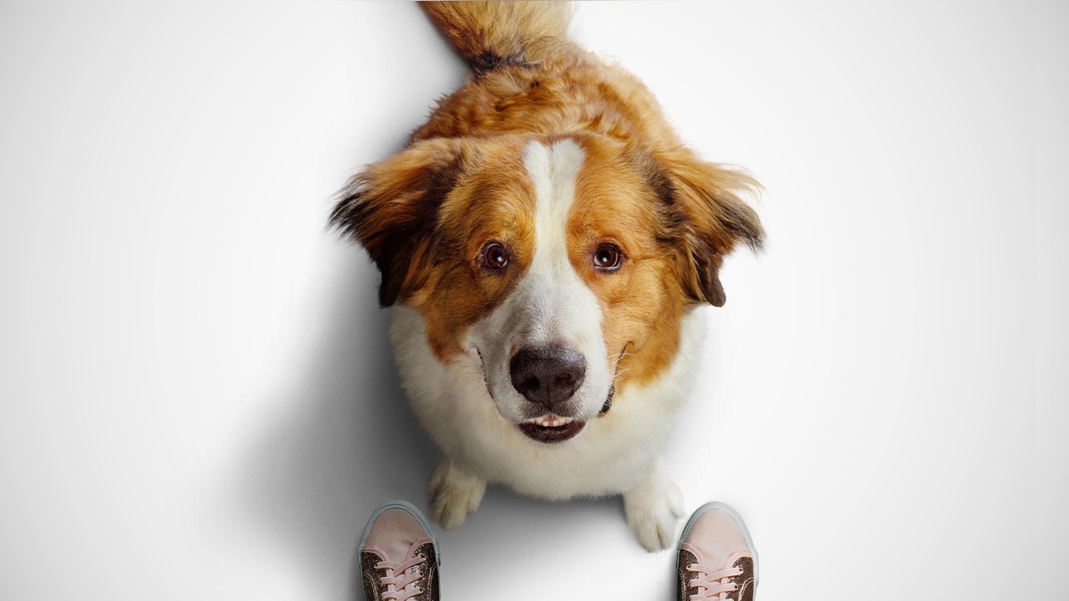 A Dog's Journey - Apple TV (LU)