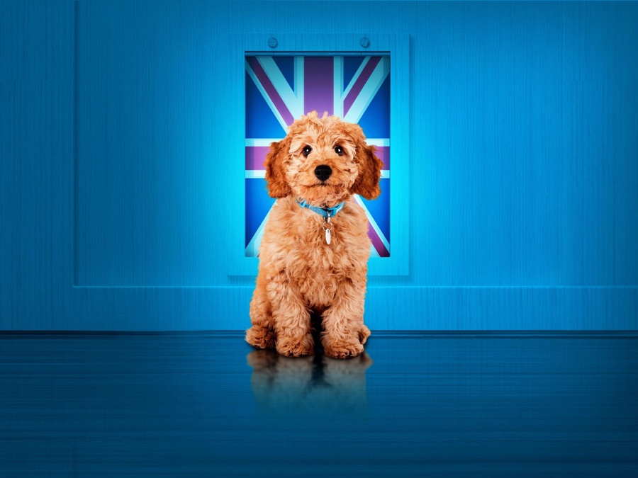 The Dog House: UK - Apple TV