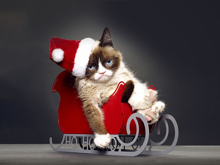 Grumpy Cat's Worst Christmas Ever - Apple TV