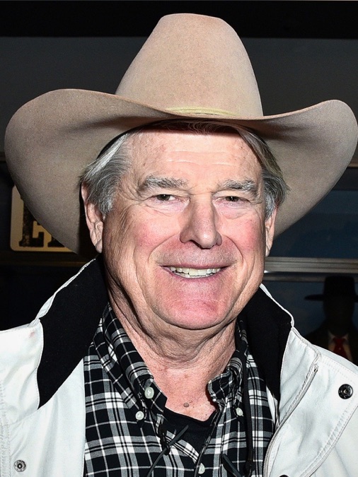 ‎Filmer och TV-program med Stan Ivar – Apple TV