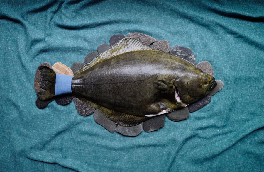 A Food Guide to Helsinki - Apple Maps