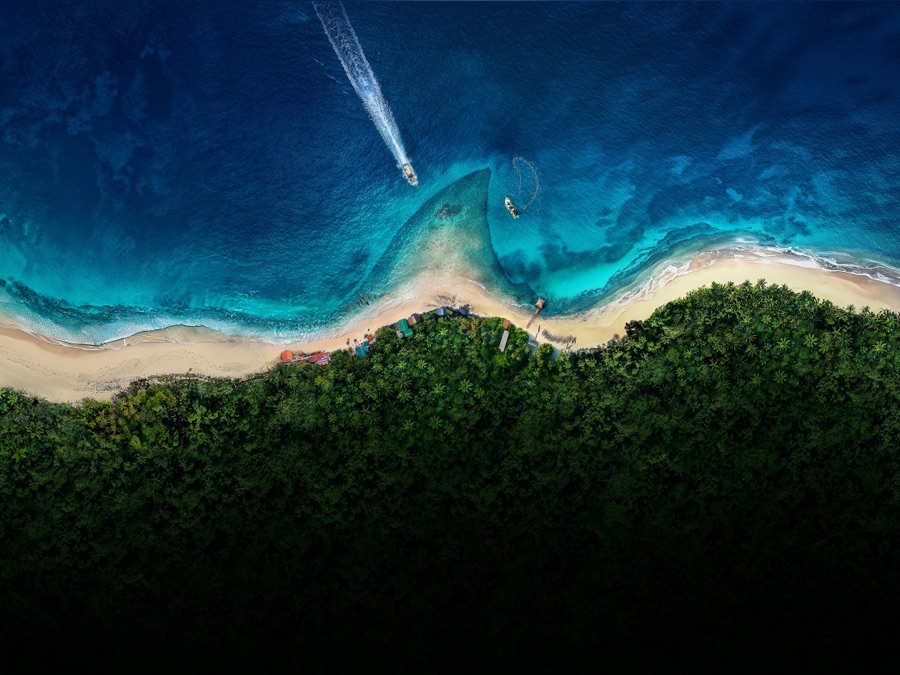 Great White Serial Killer: Sea of Blood - Apple TV (CA)