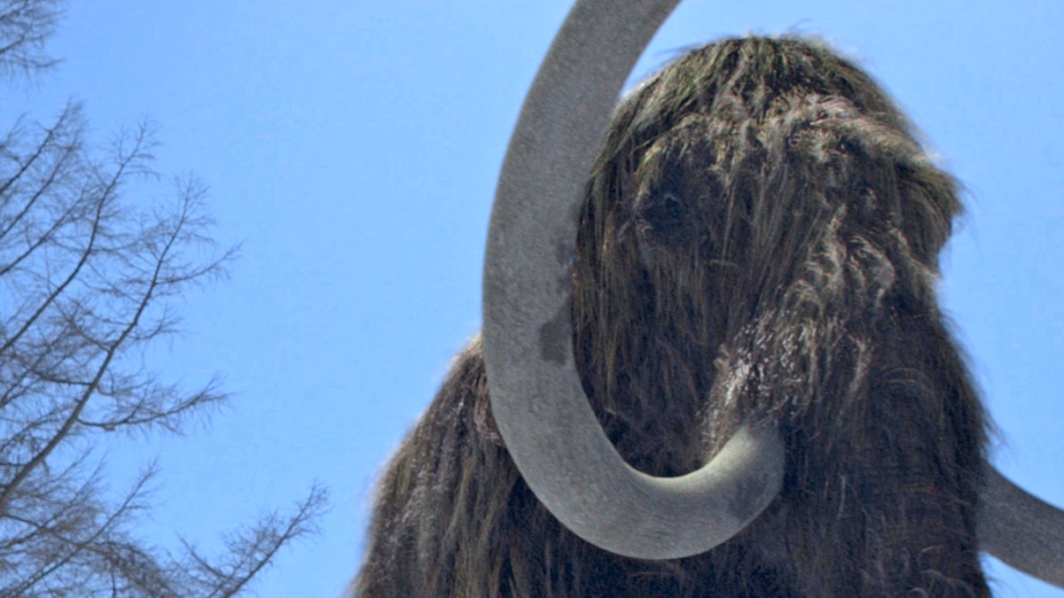 And Finally, Intelligence! – Leaps in Evolution (Season 1, Episode 3 ...