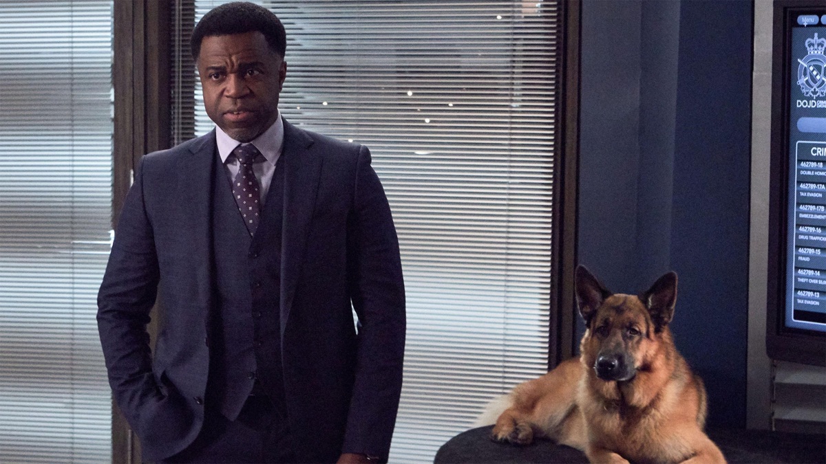 The Graveyard Shift - Hudson & Rex (Season 2, Episode 17) - Apple TV